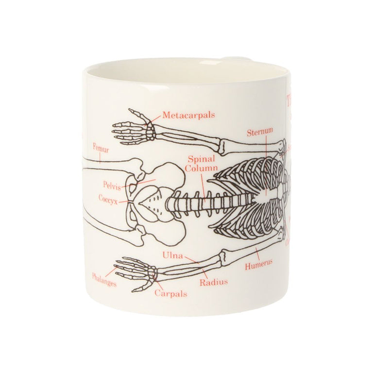 Human Skeleton Bone China Mug – Time Team
